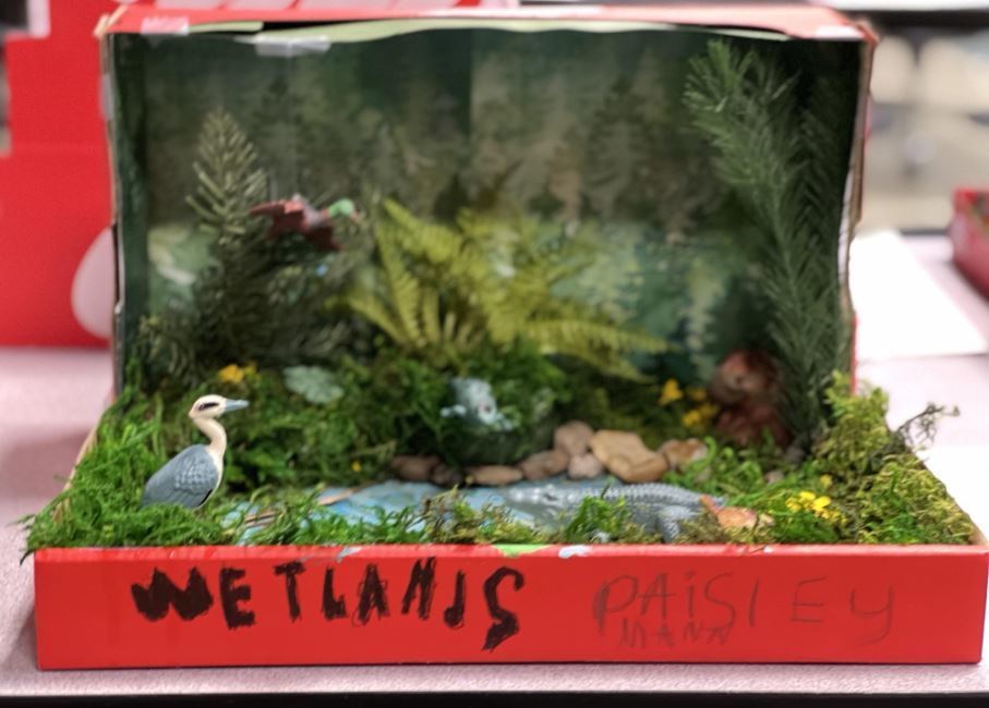 Elementary Biome Project